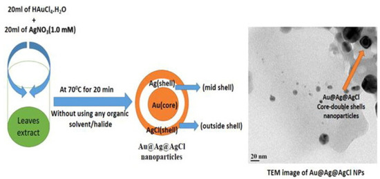 Molecules | Free Full-Text | State of the Art on Green Route Synthesis ...