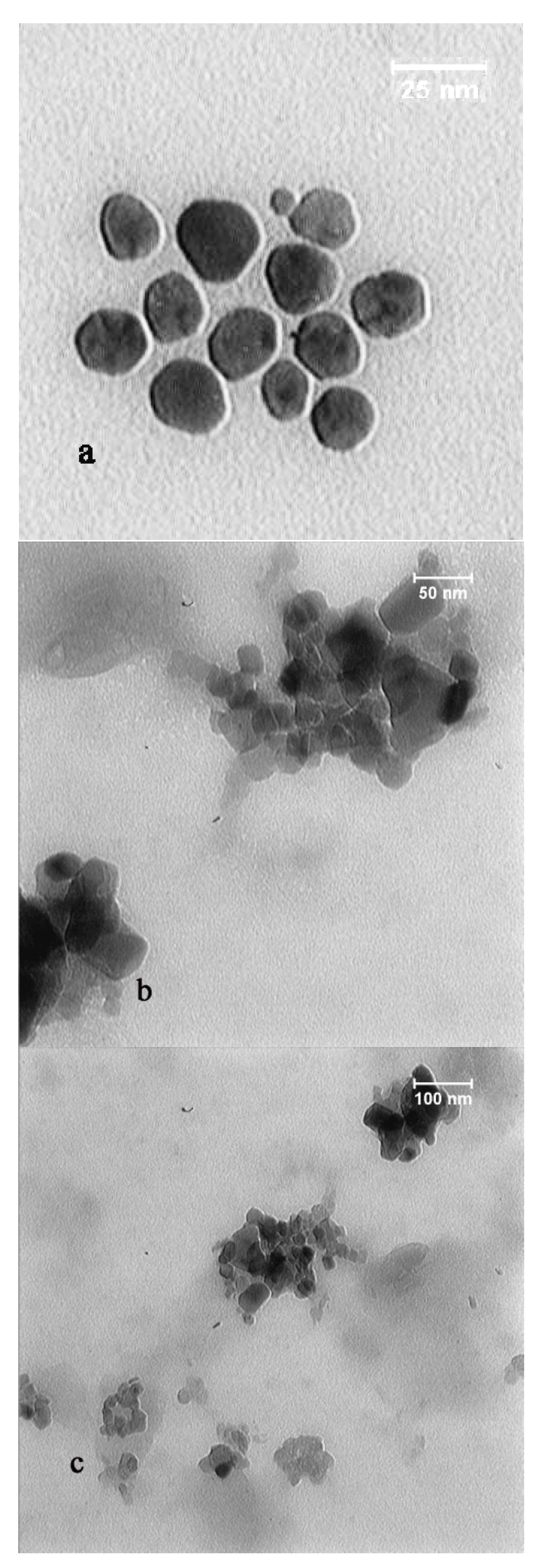 Evaluation of Phoma sp. Biomass as an Endophytic Fungus for Synthesis ...