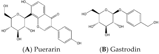 Molecules | Free Full-Text | Elucidation of the Transport Mechanism of ...
