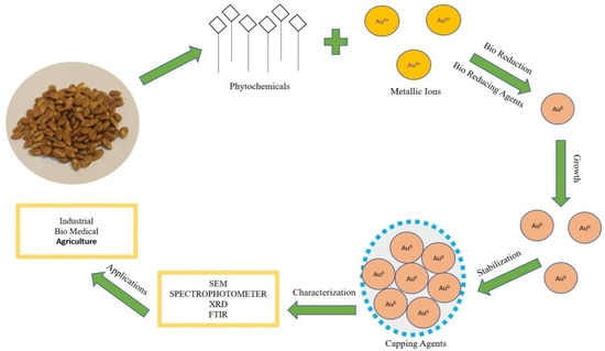 Phytochemicals Mediated Synthesis of AuNPs from Citrullus colocynthis ...