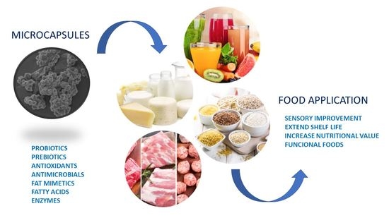 Molecules | Free Full-Text | The Role of Microencapsulation in Food ...