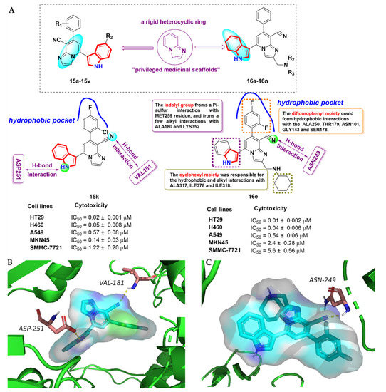 Indole-Based Tubulin Inhibitors: Binding Modes and SARs Investigations