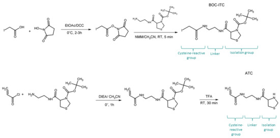 Catch, Modify and Analyze: Methods of Chemoselective Modification of ...