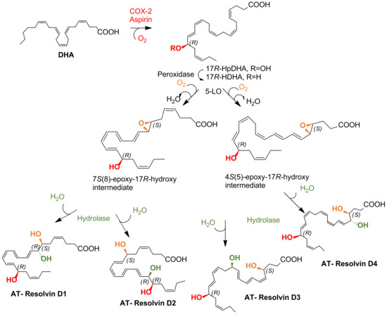 Resolvins, Protectins, and Maresins: DHA-Derived Specialized Pro ...
