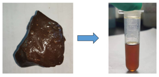 Antibacterial Activity of Chinese Red Propolis against Staphylococcus ...