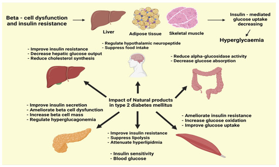 The Multifunctional Role of Herbal Products in the Management of ...