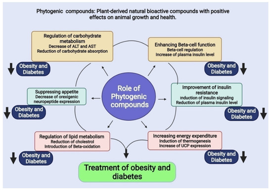 The Multifunctional Role of Herbal Products in the Management of ...