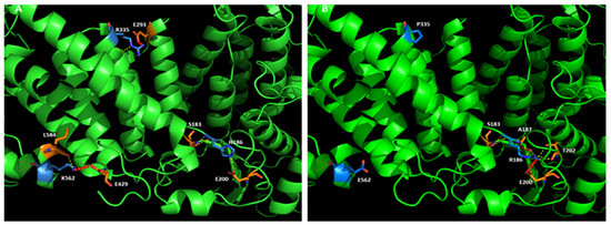 Molecules | An Open Access Journal from MDPI