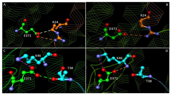 Molecules | An Open Access Journal from MDPI