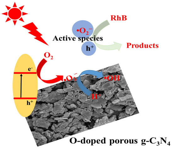 Molecules | An Open Access Journal from MDPI