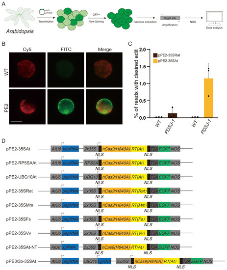 Molecules | An Open Access Journal from MDPI
