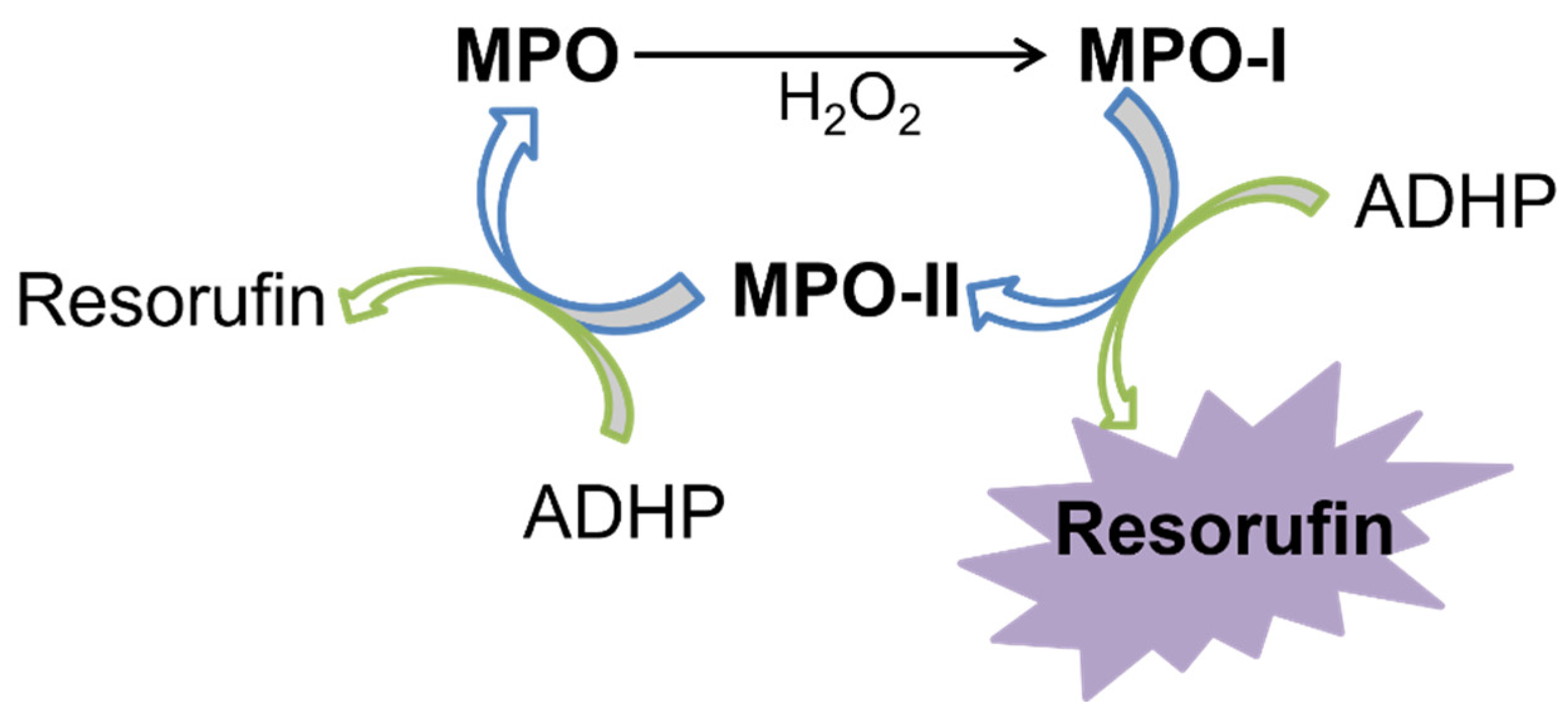 Automatic Identification of Myeloperoxidase Natural Inhibitors in Plant ...