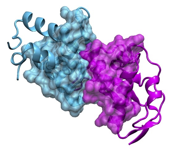 Molecules | Free Full-Text | Modeling the Dynamics of Protein–Protein ...