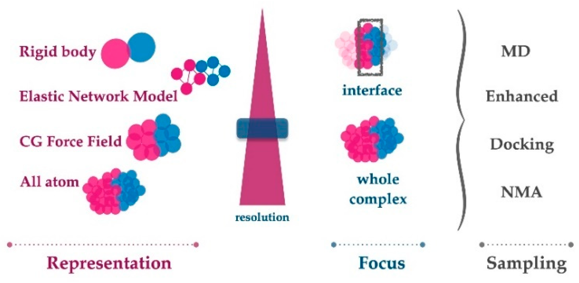 Modeling the Dynamics of Protein–Protein Interfaces, How and Why?