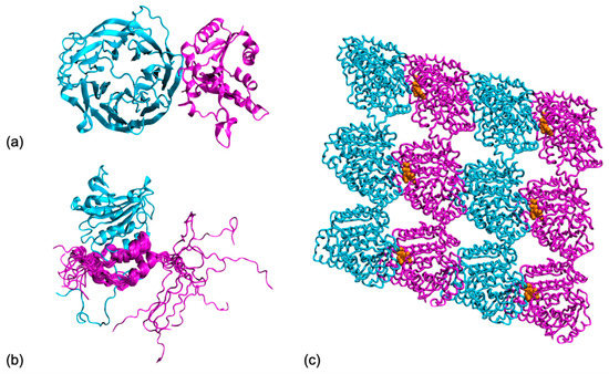 Modeling the Dynamics of Protein–Protein Interfaces, How and Why?