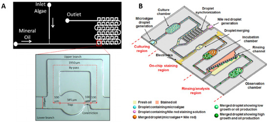 Microfluidic Microalgae System: A Review