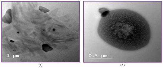 Nanostructured Lipid Carriers (NLC) for Biologically Active Green Tea ...