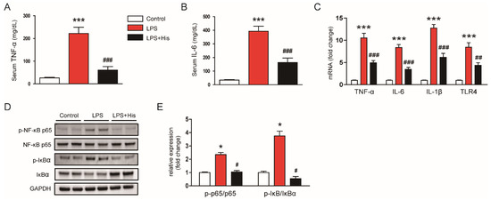 Hispidulin Ameliorates Endotoxin-Induced Acute Kidney Injury in Mice