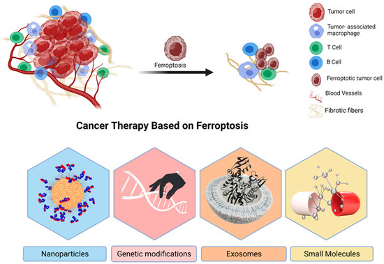 Molecules | Free Full-Text | Ferroptosis: A New Road towards Cancer ...