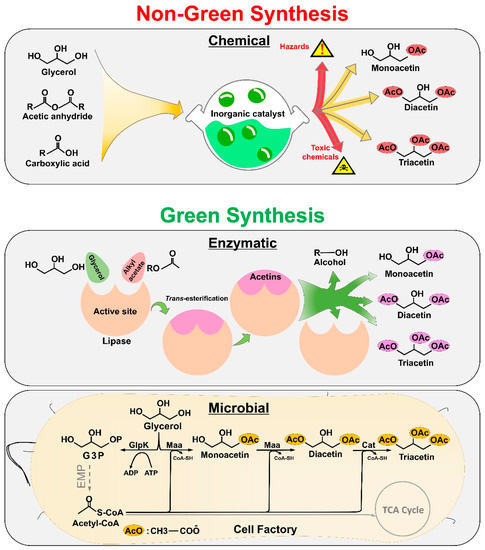 Current Trends in Acetins Production: Green versus Non-Green Synthesis