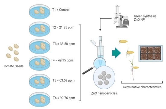 Molecules | Free Full-Text | ZnO Nanoparticles Obtained by Green ...