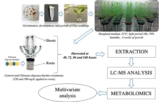 Molecules | Free Full-Text | Secondary Metabolism Rearrangements in ...