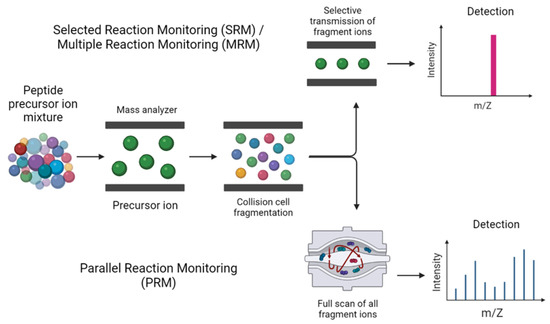 Applications of Tandem Mass Spectrometry (MS/MS) in Protein Analysis ...
