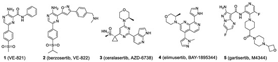 Recent Advances in Synergistic Antitumor Effects Exploited from the ...