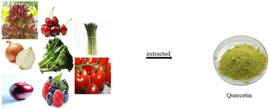 Health Benefits of Quercetin in Age-Related Diseases