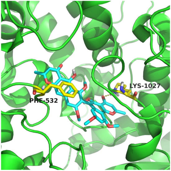 Naphtho-Gamma-Pyrones (NγPs) with Obvious Cholesterol Absorption ...