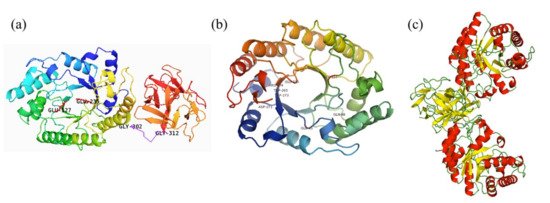 Identification and Characterization of a Novel Endo-β-1,4-Xylanase from Streptomyces sp. T7 and ...