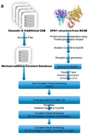 Identification of Novel Covalent XPO1 Inhibitors Based on a Hybrid ...
