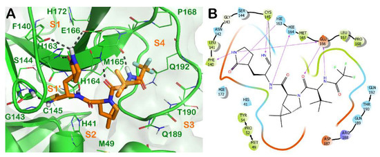 Covalent Reversible Inhibitors of Cysteine Proteases Containing the ...
