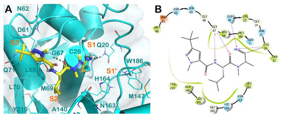 Covalent Reversible Inhibitors of Cysteine Proteases Containing the ...