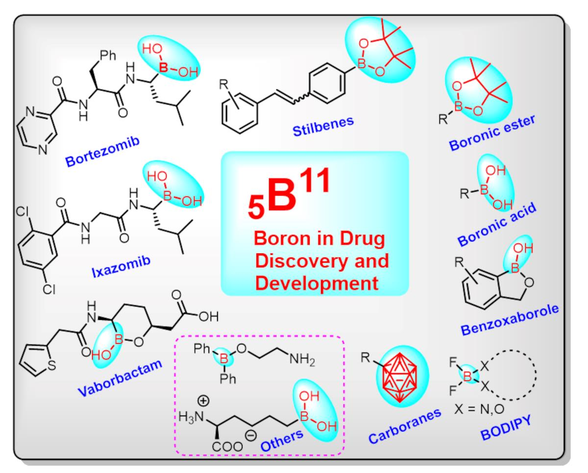 Molecules | Free Full-Text | Boron Chemicals in Drug Discovery and ...