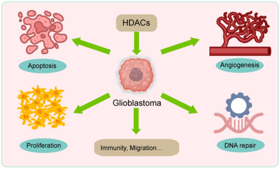 Promising Chemotherapy for Malignant Pediatric Brain Tumor in Recent ...