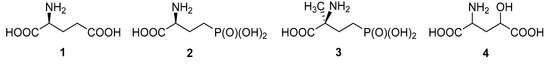 Synthesis of Four Enantiomers of (1-Amino-3-Hydroxypropane-1,3-Diyl ...
