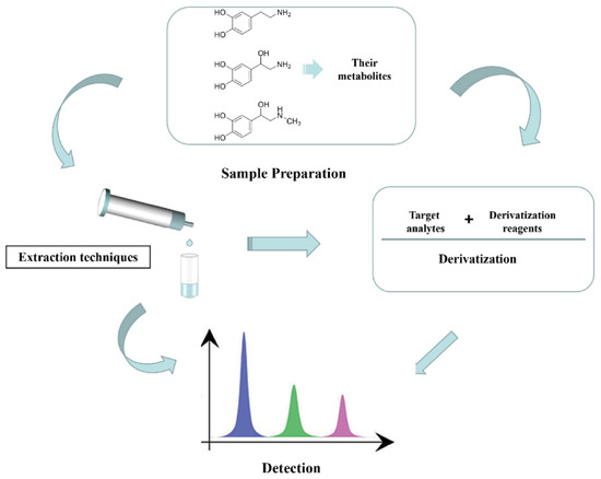 Current Sample Preparation Methodologies for Determination of ...