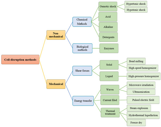 Molecules | Free Full-Text | Recovering Microalgal Bioresources: A Review of Cell Disruption ...