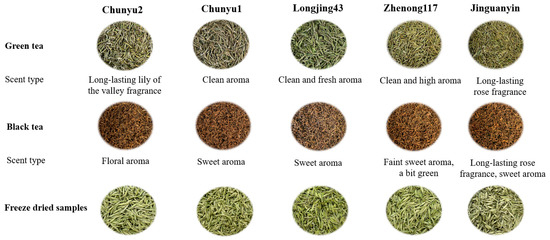 Identification of Key Aroma Compounds Responsible for the Floral ...