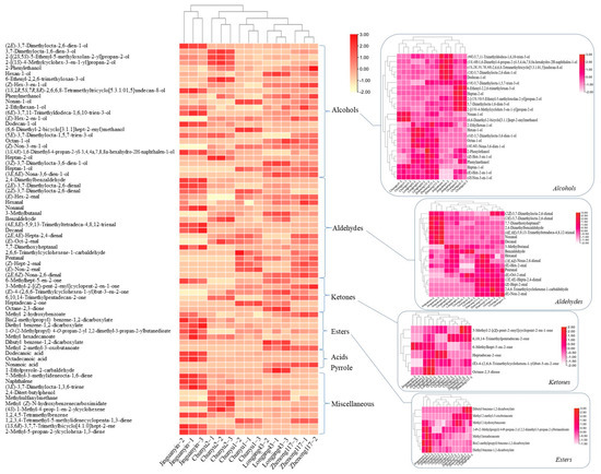 Identification of Key Aroma Compounds Responsible for the Floral ...