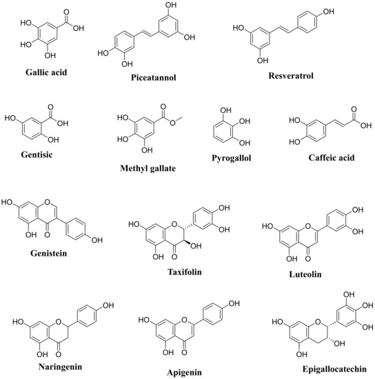 Molecules Free Full Text Dietary Polyphenols Extraction
