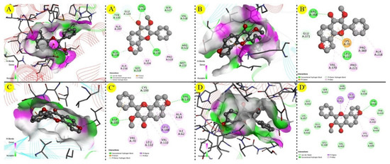 In Silico Molecular Docking Analysis of Karanjin against Alzheimer’s ...