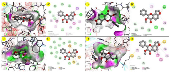 In Silico Molecular Docking Analysis of Karanjin against Alzheimer’s ...