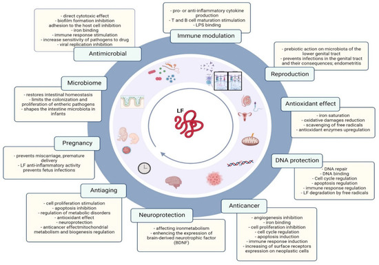 The Lactoferrin Phenomenon—A Miracle Molecule