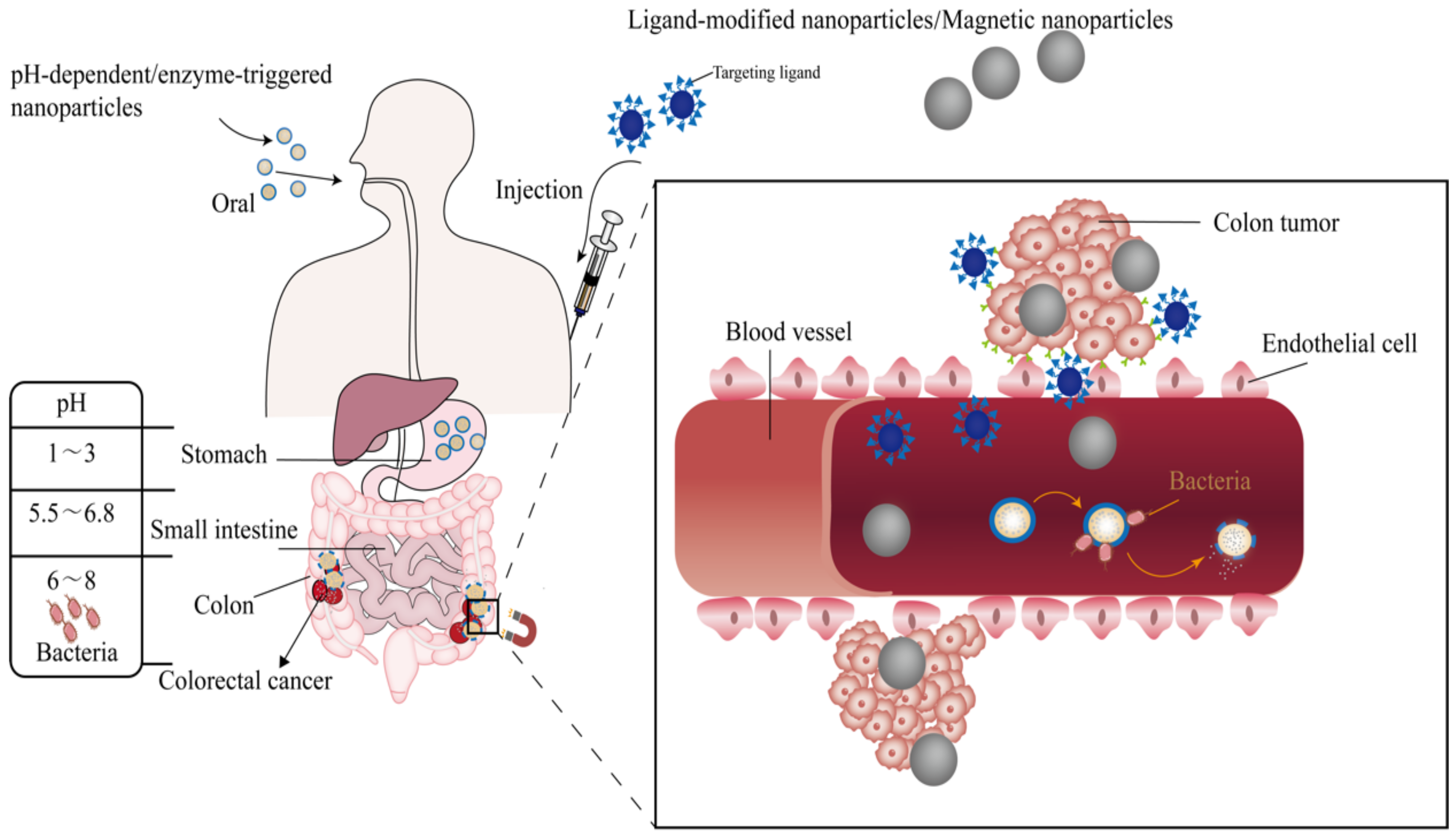 Molecules Free Full Text Nano Drug Delivery Systems Based On