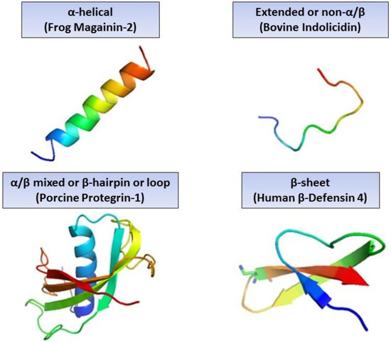 The Role of Antimicrobial Peptides as Antimicrobial and Antibiofilm ...