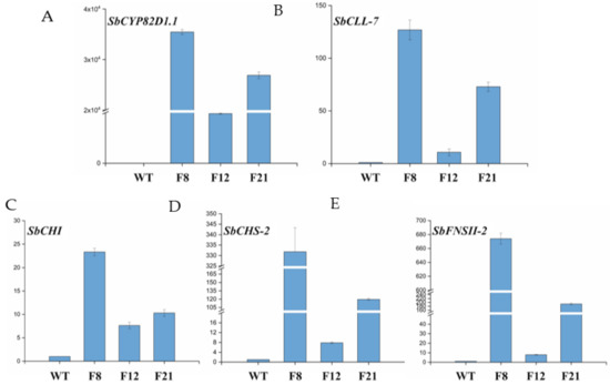Molecules Free Full Text Heterologous Biosynthesis Of Health
