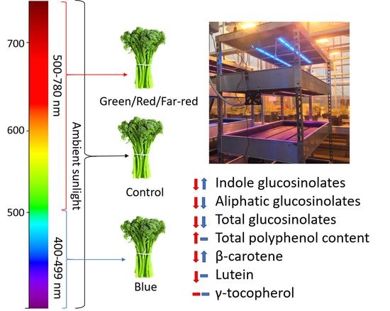 Molecules | Free Full-Text | Manipulation of the Phytochemical Profile ...