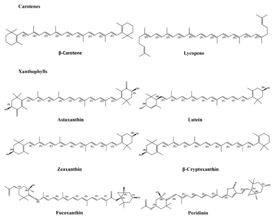 Molecules | Free Full-Text | Insight into the Progress on Natural Dyes ...